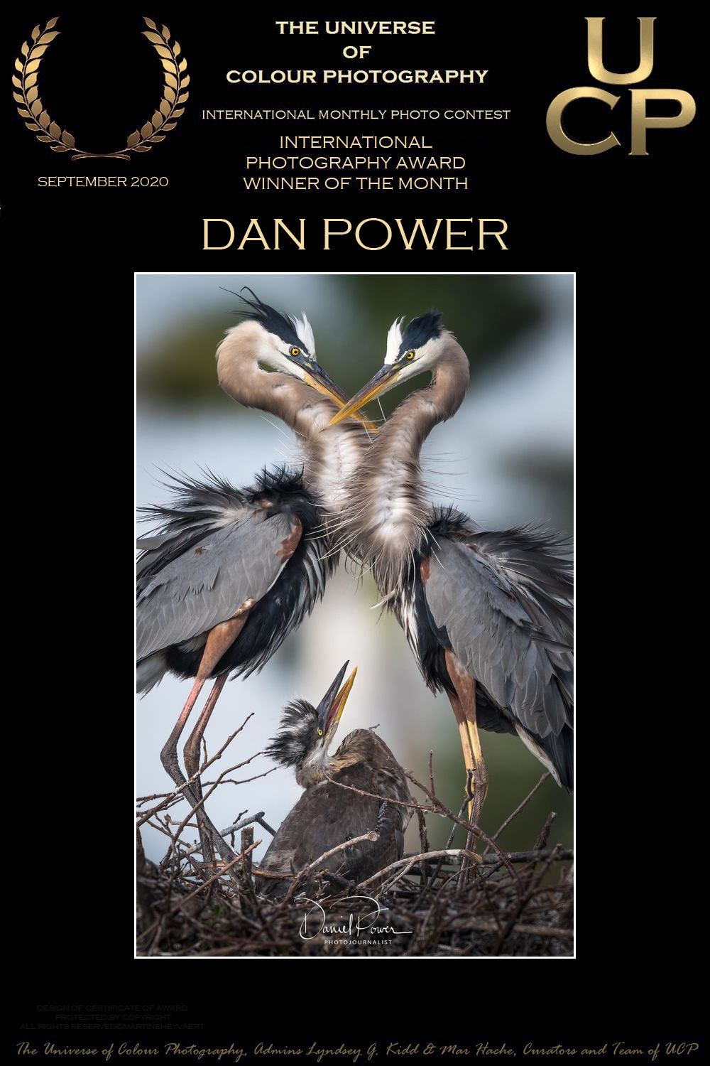 About Daniel Power: A Professional Wildlife Photographer